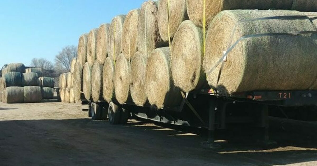 Hay Day | City of Rock Valley